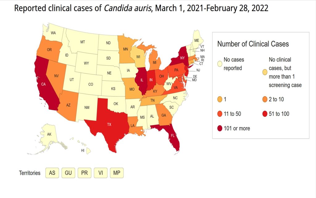 Candida Auris A Drug Resistant Yeast That Spreads In Healthcare